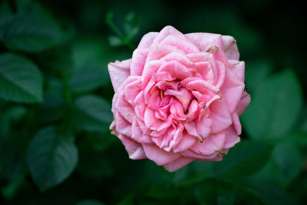 Visual Art Photography With a Personal Touch | Just Jen Photography