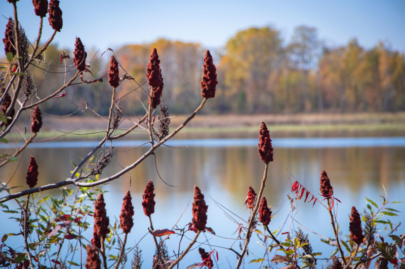 Visual Art Photography With a Personal Touch | Just Jen Photography